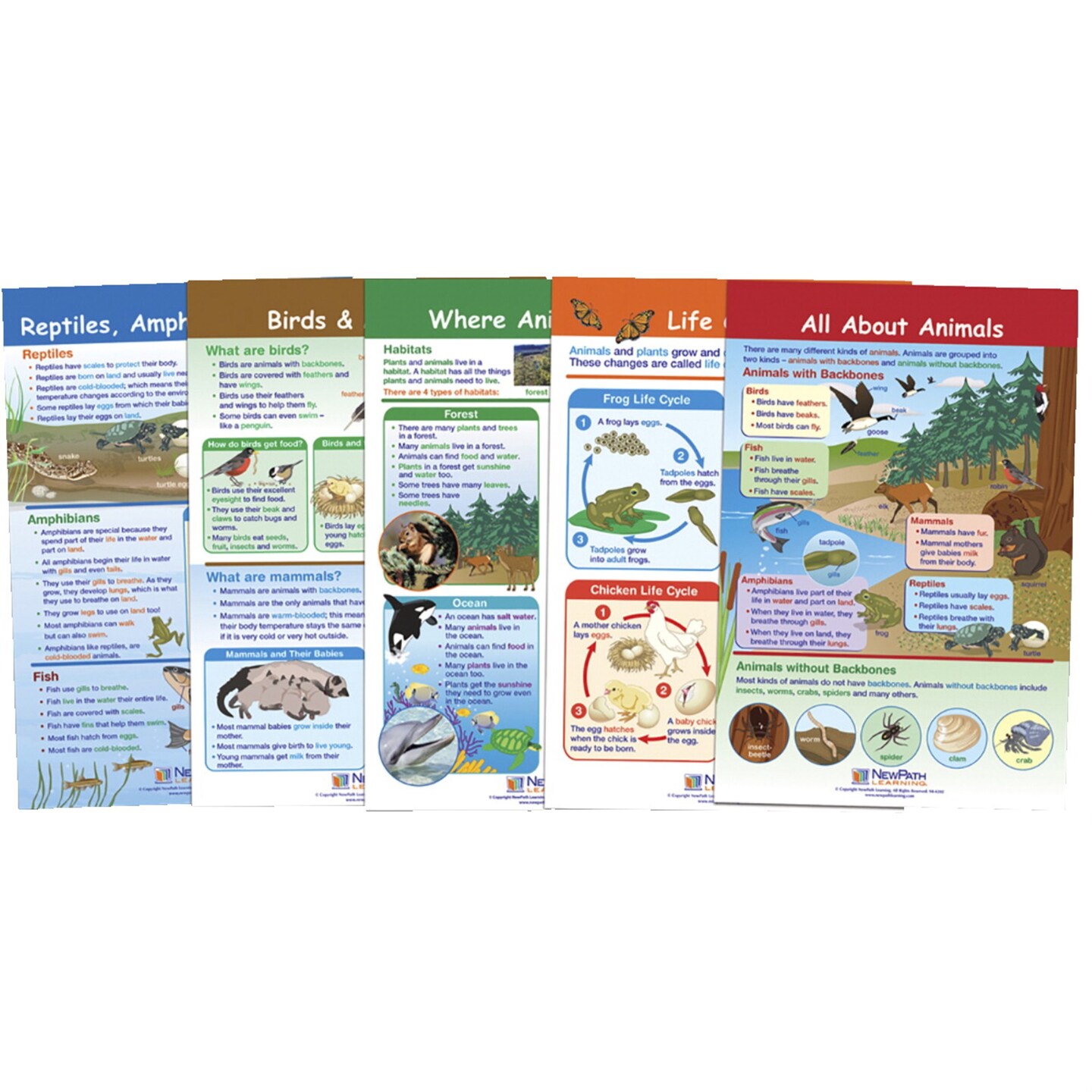 NewPath Learning Bulletin Board Set of 5 - All About Animals, Grades 1 ...