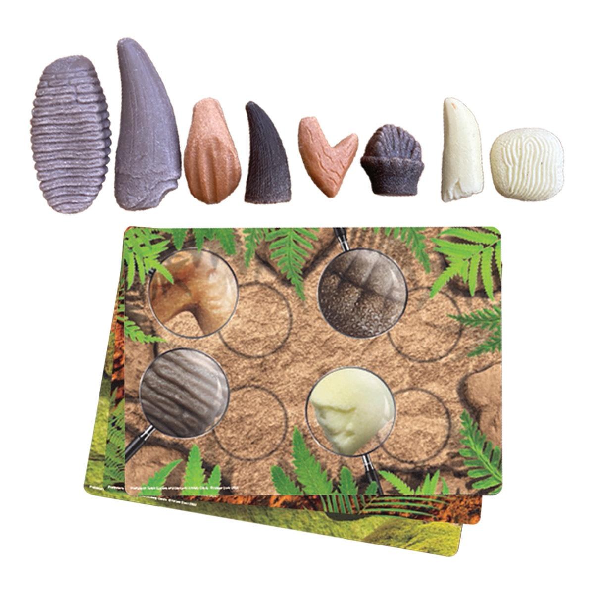 Yellow Door Sensory Prehistoric Teeth Stones and Activity Cards Set ...