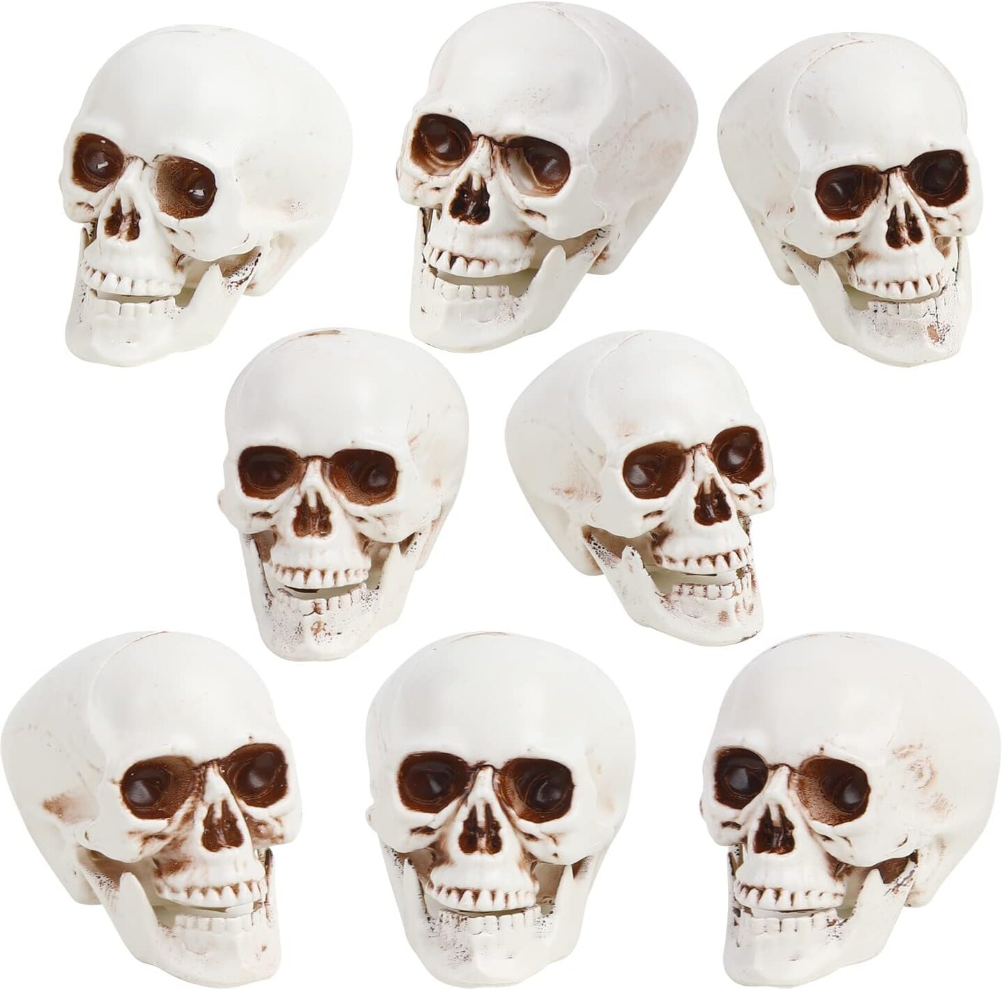 8pcs Halloween Skull Decoration Realistic Looking Skulls Mini Human ...