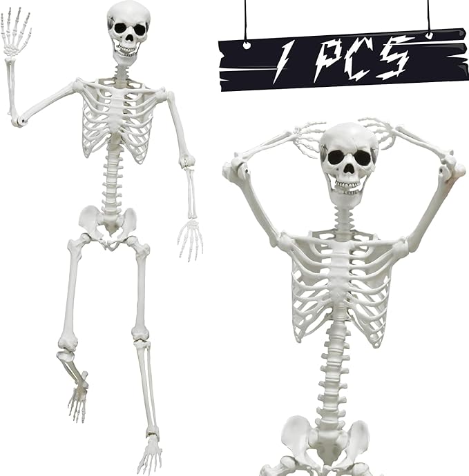 5.9Ft/180cm Halloween Life Size Skeletons, Full Body Audlt Skeletons ...