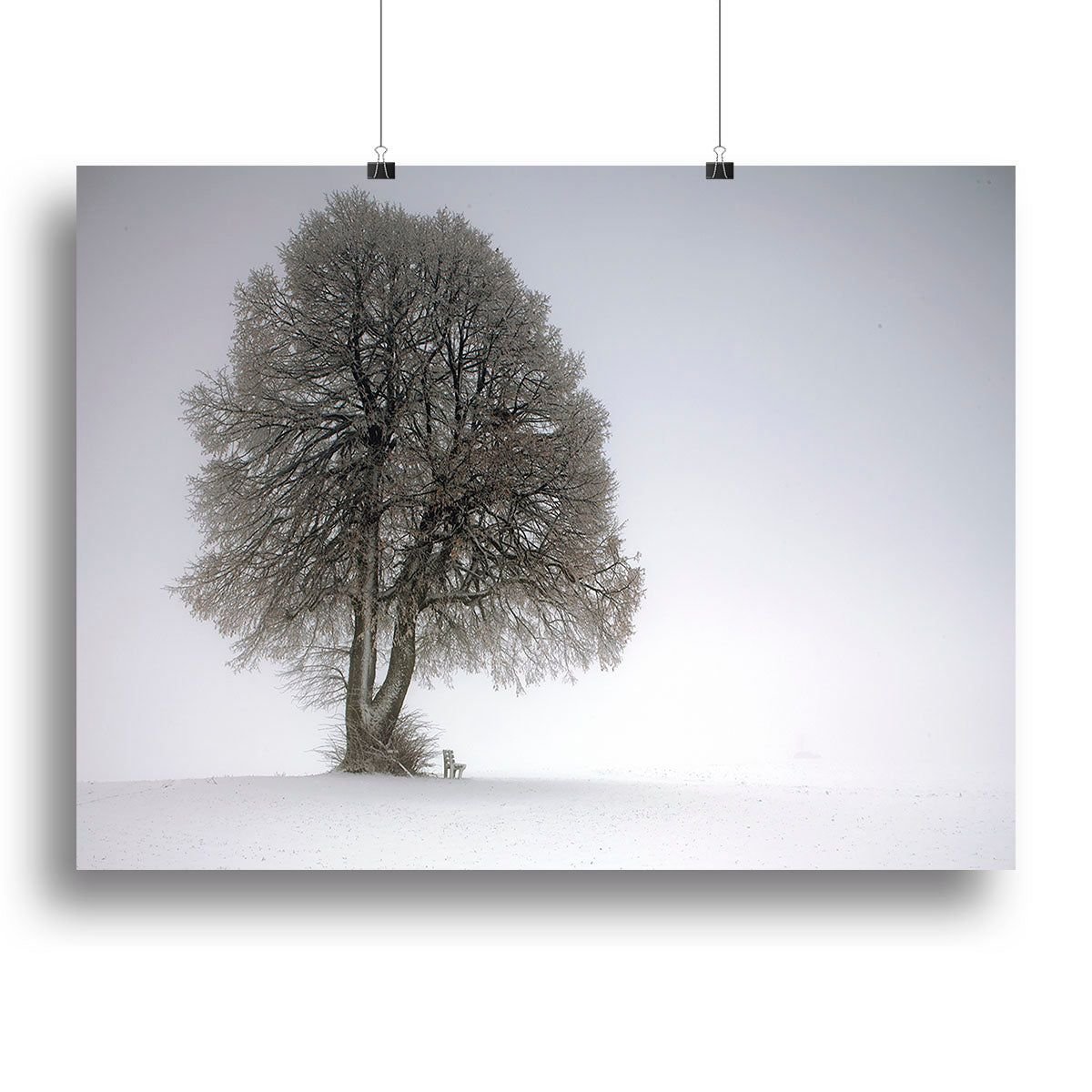 Edge Collections - White - Elegant Winter Tree Art Print - 1 Piece ...