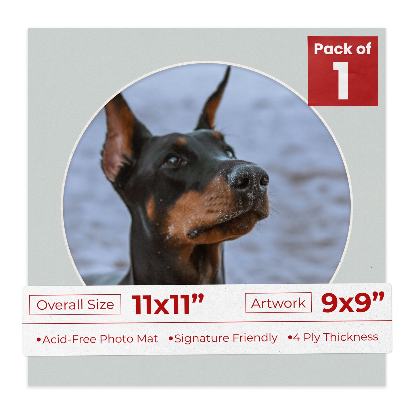 Gray Mat Board for 11x11 Frames - Circle Opening for 9x9 Photos, Color ...
