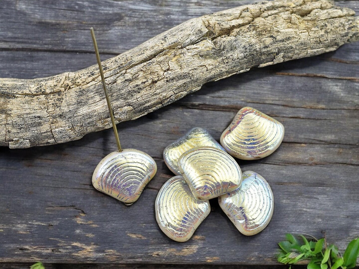 *8* 15x18mm Opaque Ivory AB Sea Shell Beads | Michaels