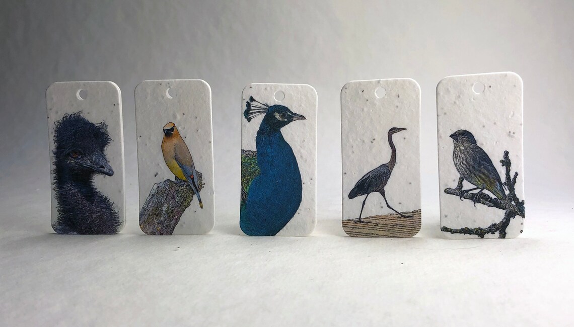 Wildflower Seed Paper - Rounded Hang Tag - Birds of the World ...