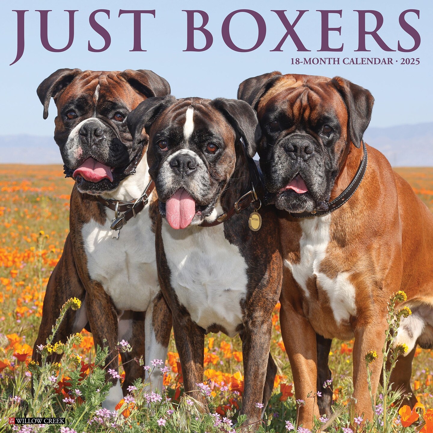 Boxers 2025 Wall Calendar | Michaels