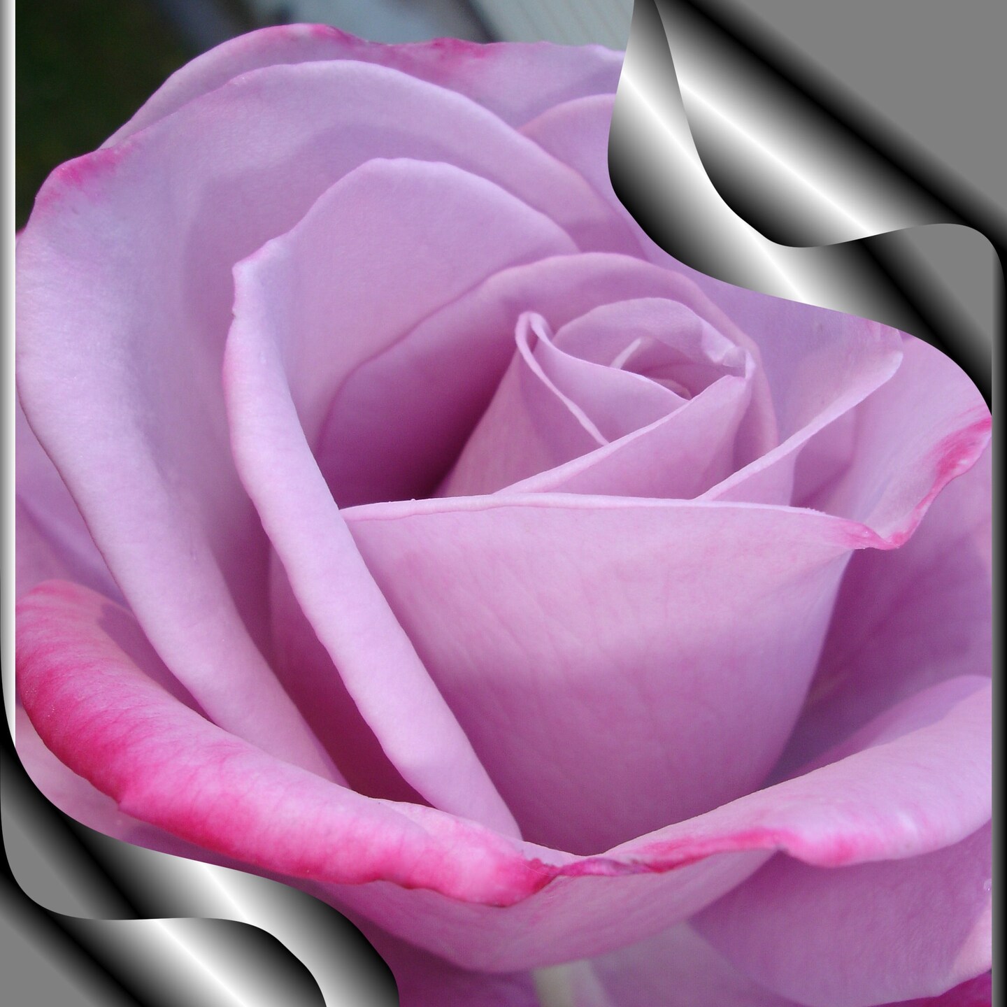 Schoff Cards | Storefront | Michaels