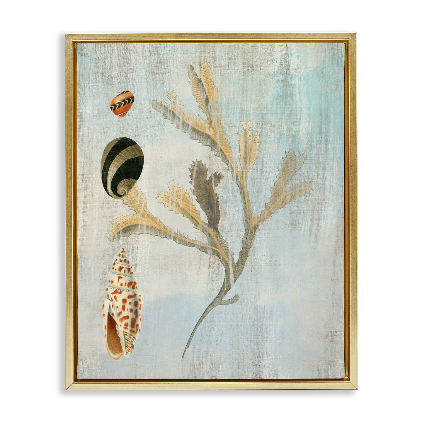 Stupell Industries Mixed Seashells & Coral Floating Frame Design by Susan Arnot | Michaels