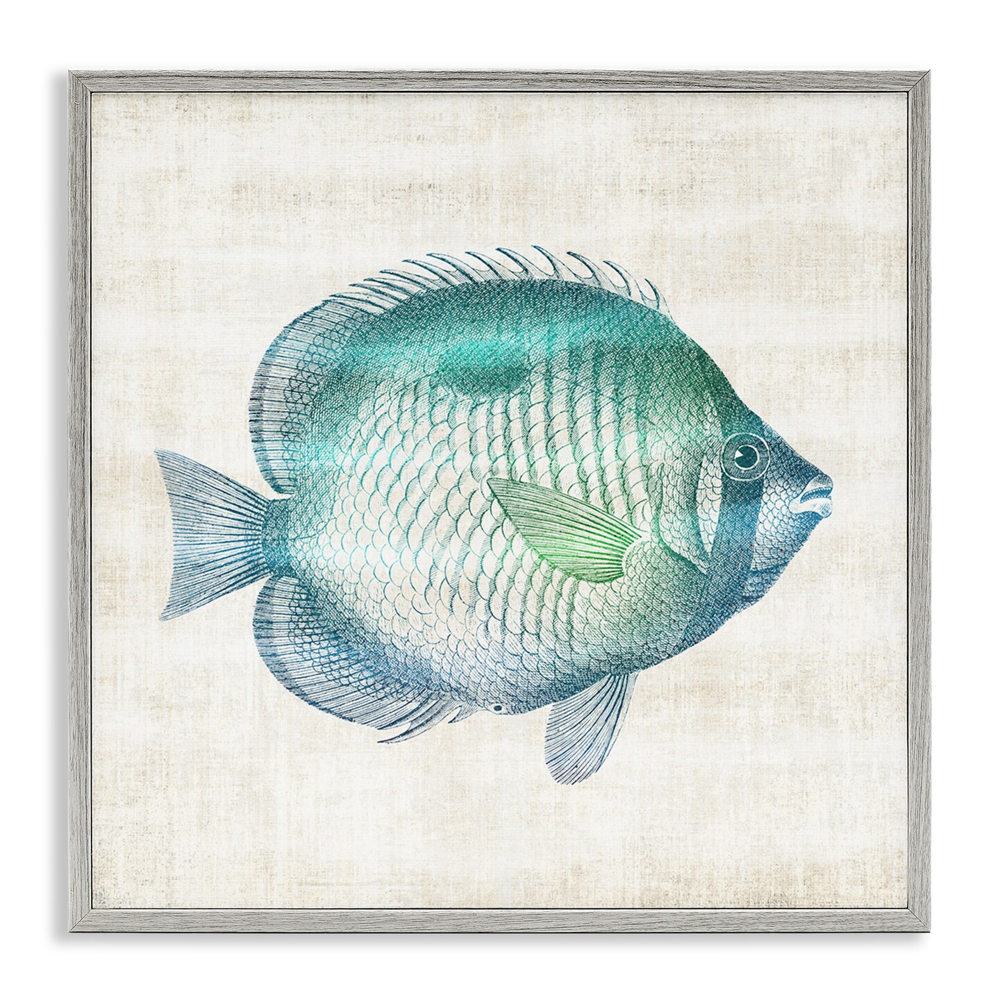 Stupell Industries Fish Impression Sea Life Framed Giclee Design by Susan Arnot | Michaels