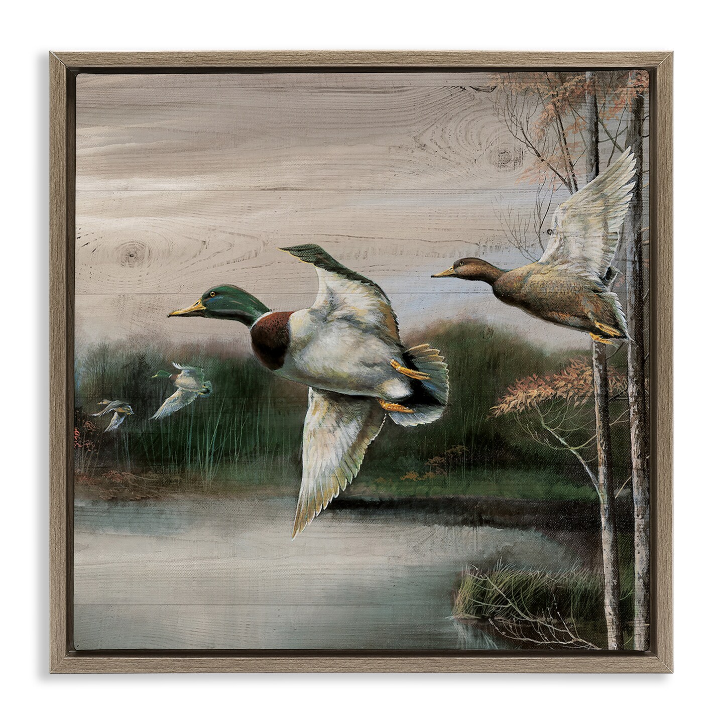 Stupell Industries Flying Ducks in Rustic Nature Floating Frame Design ...