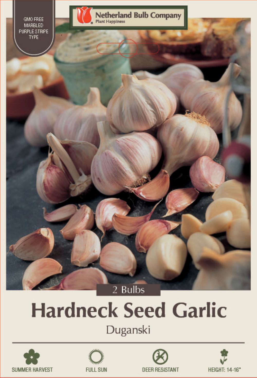 Duganski Hardneck Garlic - Heirloom - 2 Medium Bulbs | Michaels