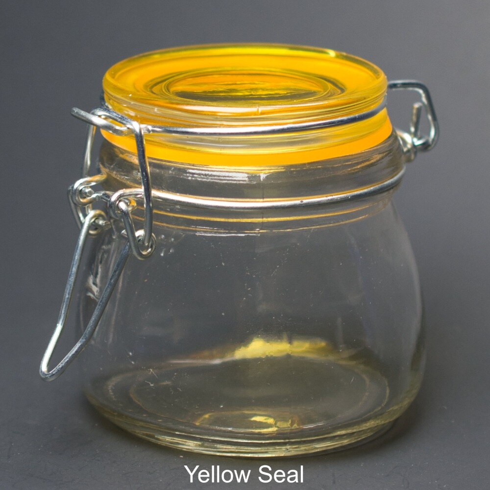 Glass Display Jar with Latch – 57116 | Michaels