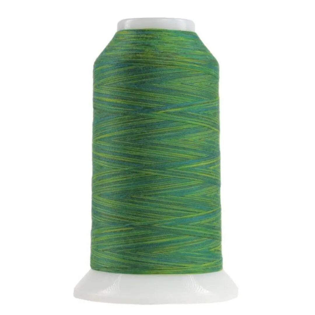 9007 Rolling Hills Omni Variegated Polyester Thread | Michaels