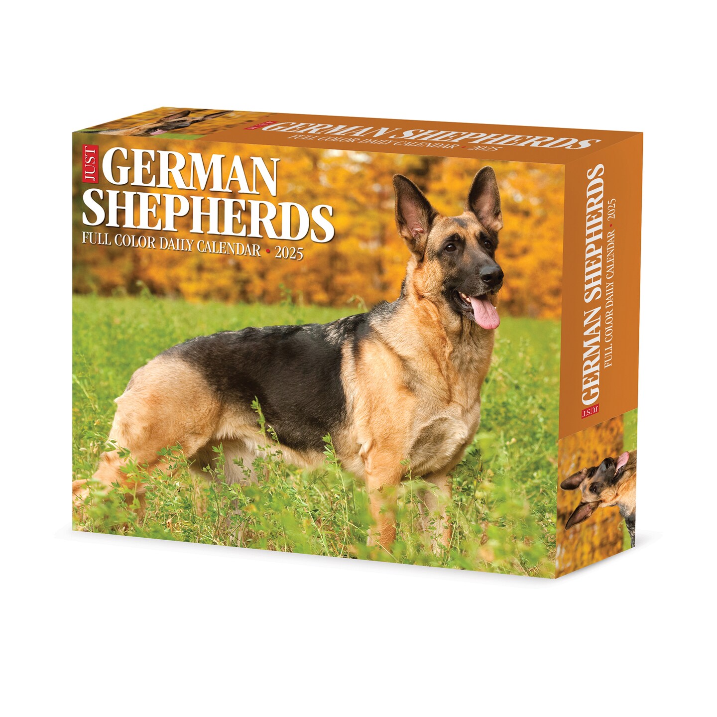 Just German Shepherds 2025 Box Calendar - Dog Breed Daily Desktop ...