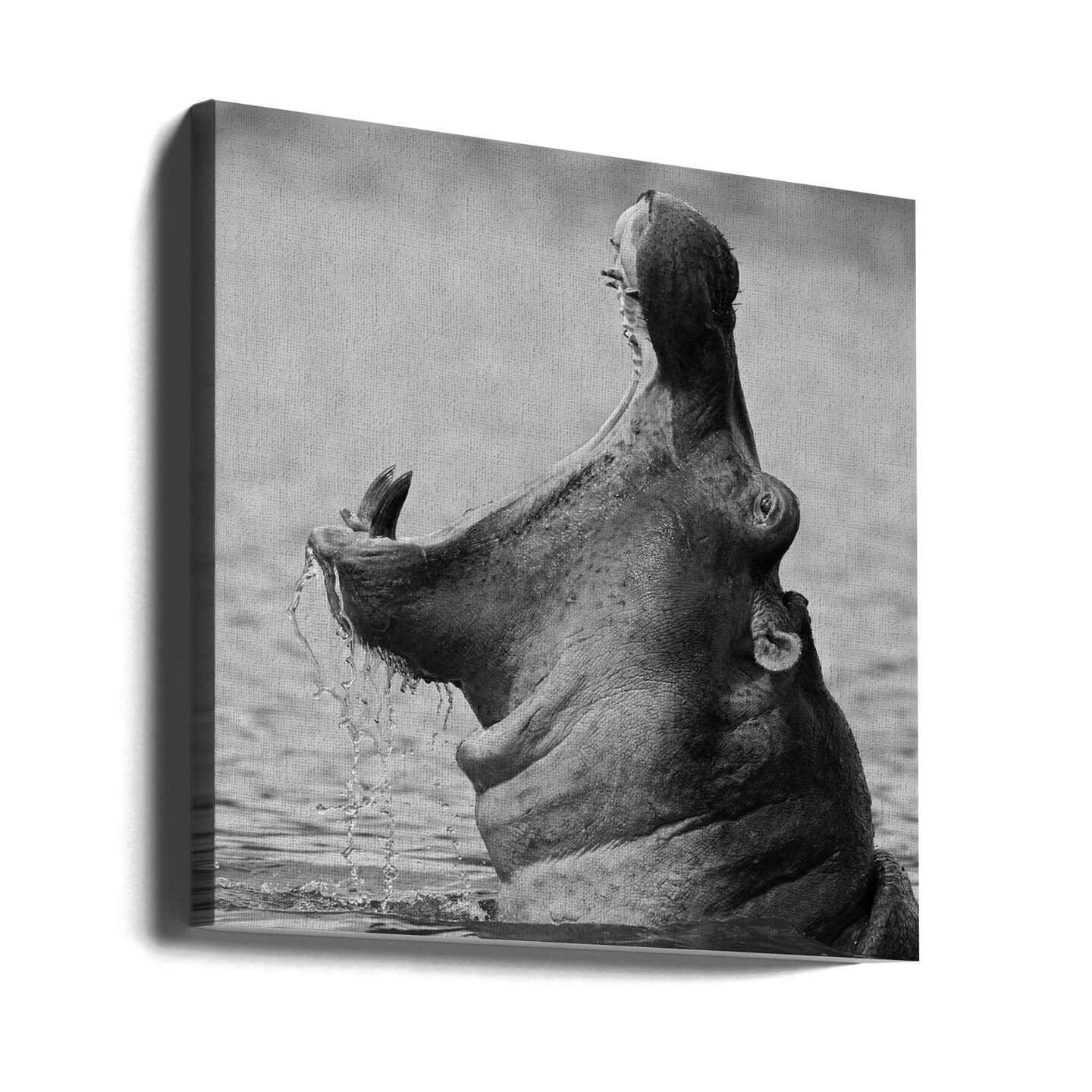 The Mouth Square 24x24 Canvas - Corporate Office Art | Michaels