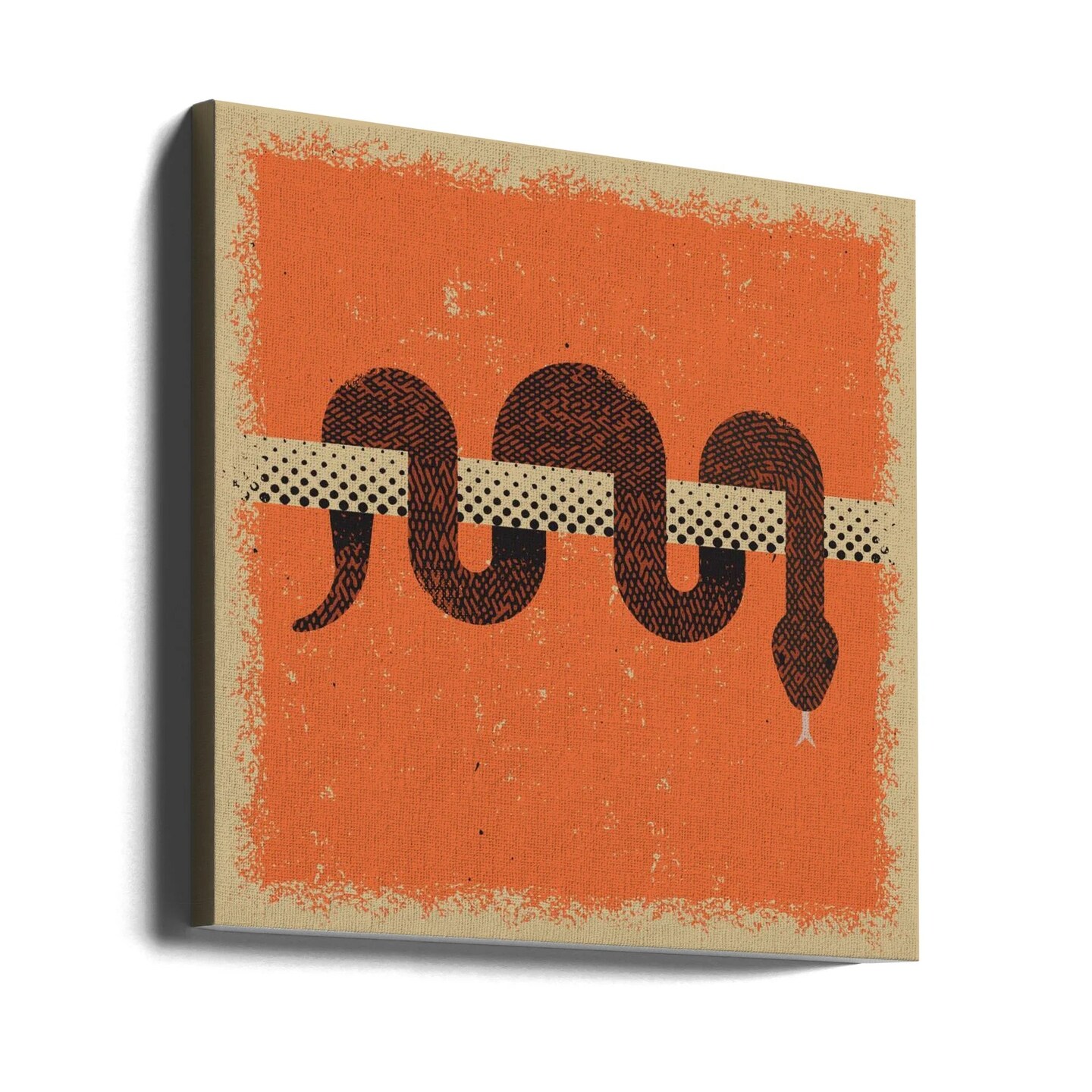 Snake 2 Square 24x24 Canvas - Corporate Office Art | Michaels