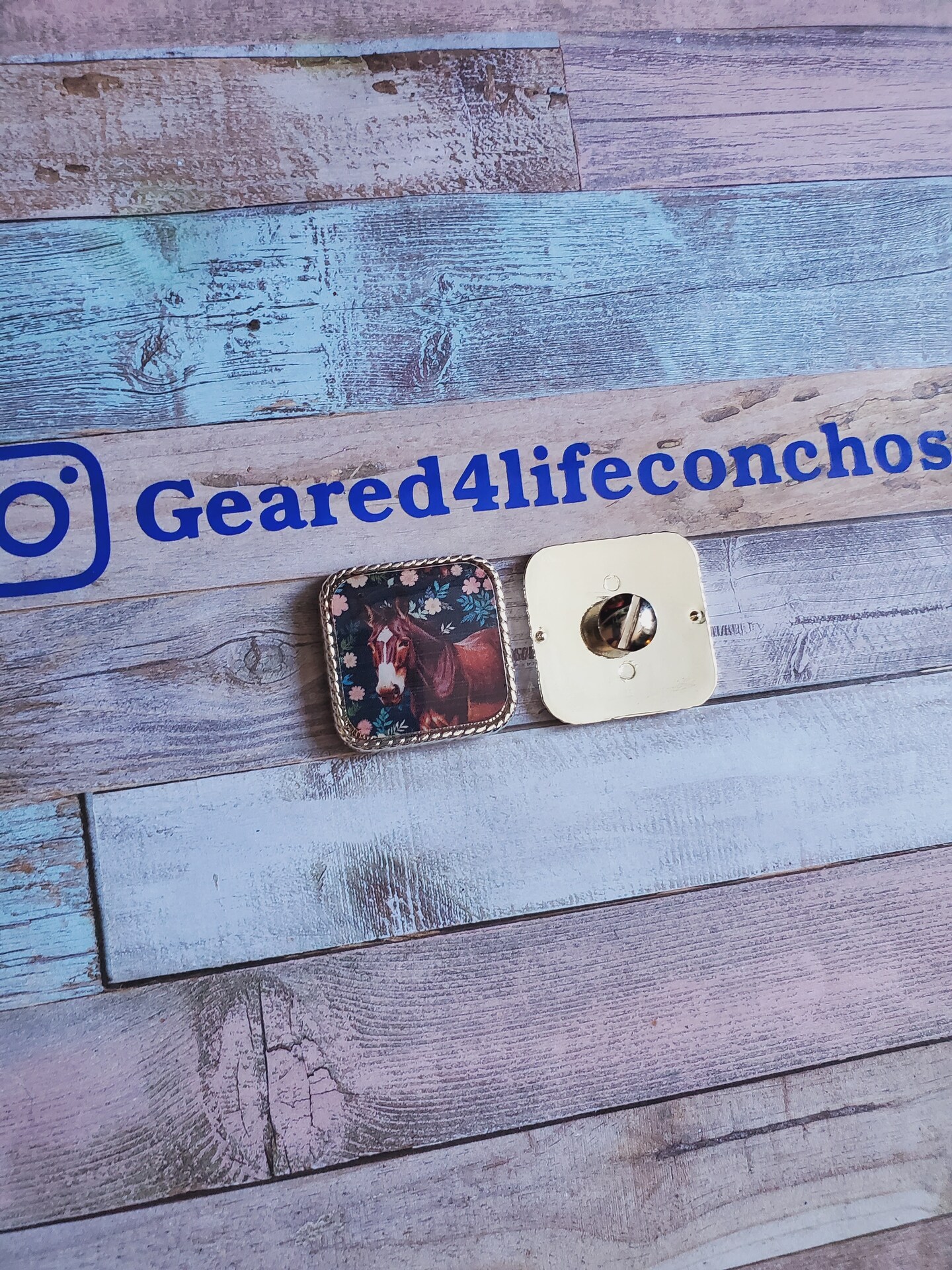 Mule lover conchos, screwback concho, custom conchos, bling conchos ...