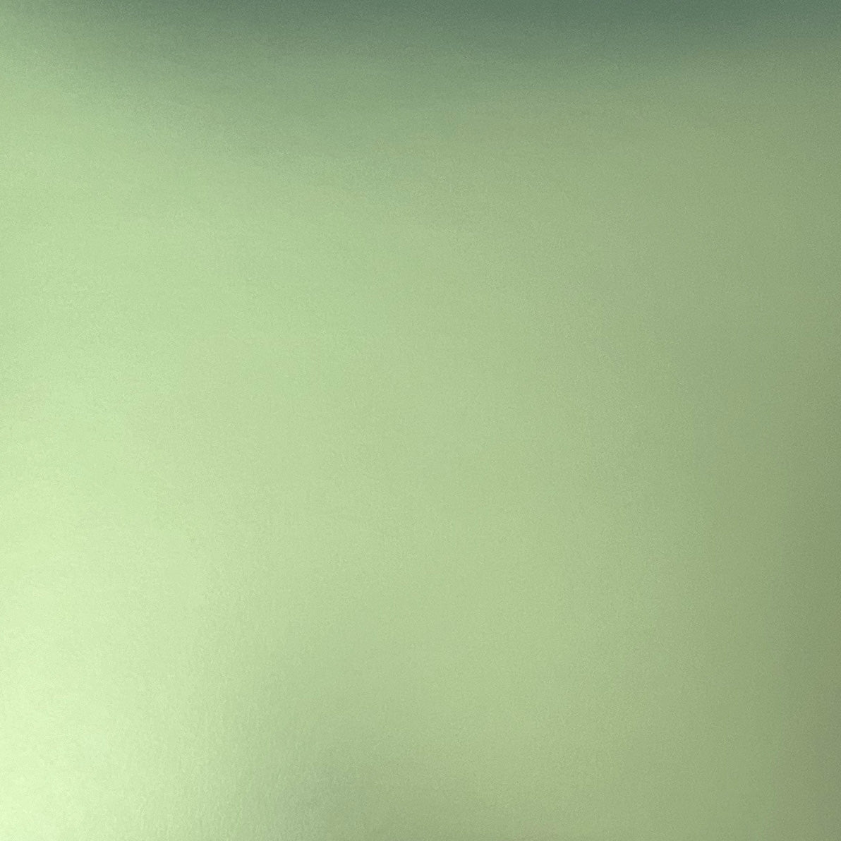 LIGHT GREEN Matte Foil Cardstock - 12x12 Foil Cardstock - Encore | Michaels