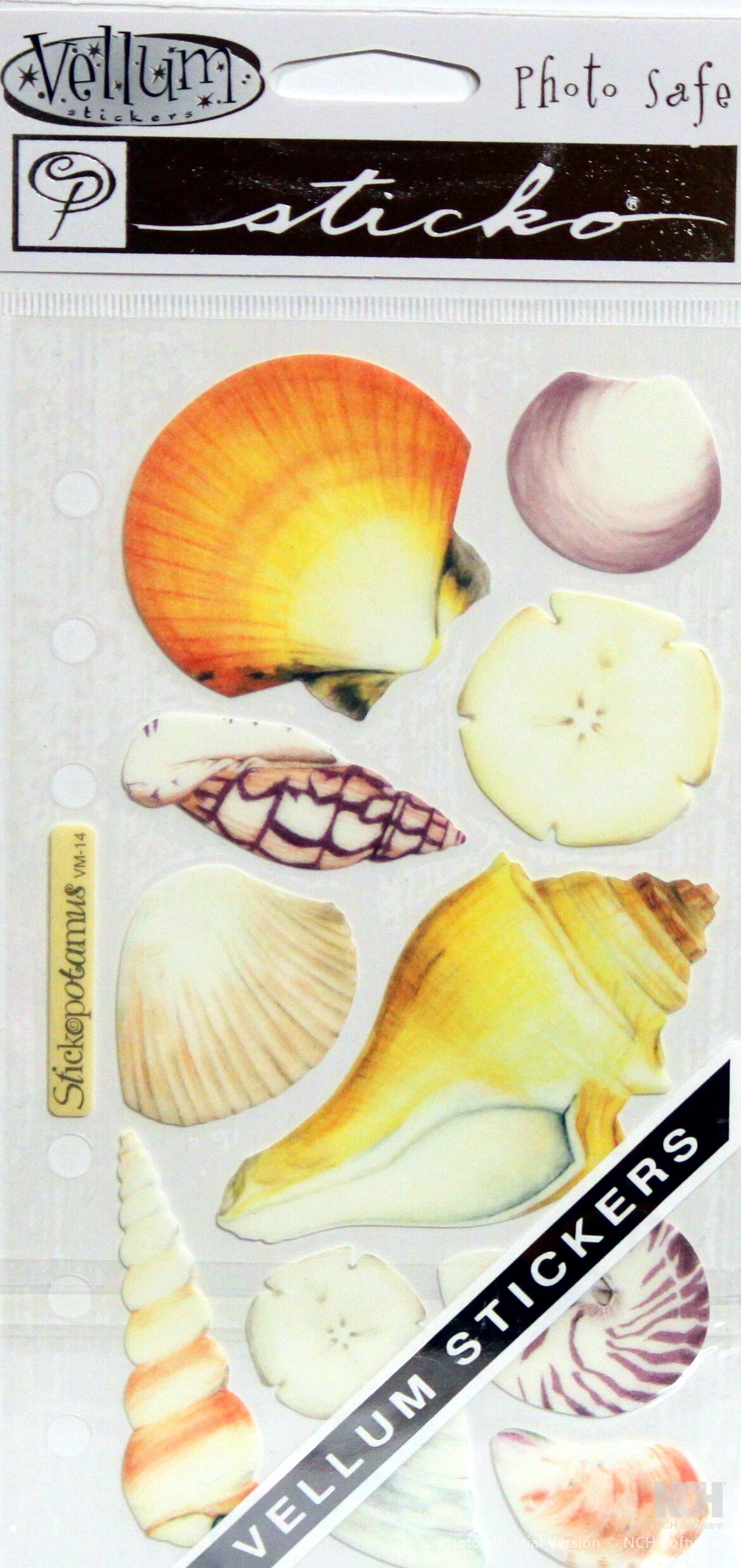 Sticko Vellum Seashells Stickers | Michaels