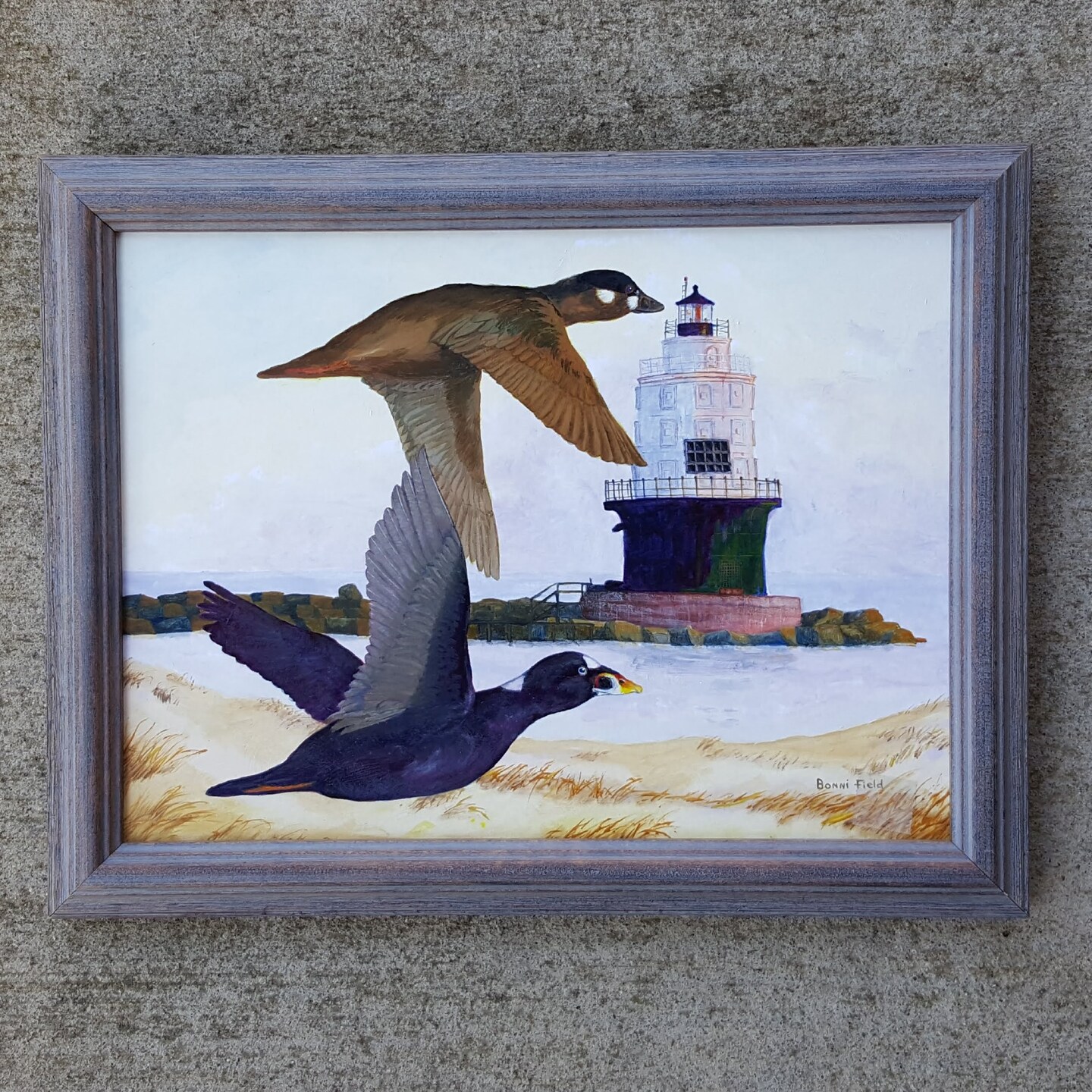 Flying duck wall art, DE Harbor of Refuge lighthouse, Surf Scoter ducks ...
