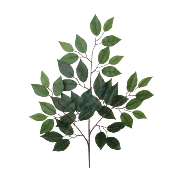 Ficus Spray 24" - 48 PACK | Michaels