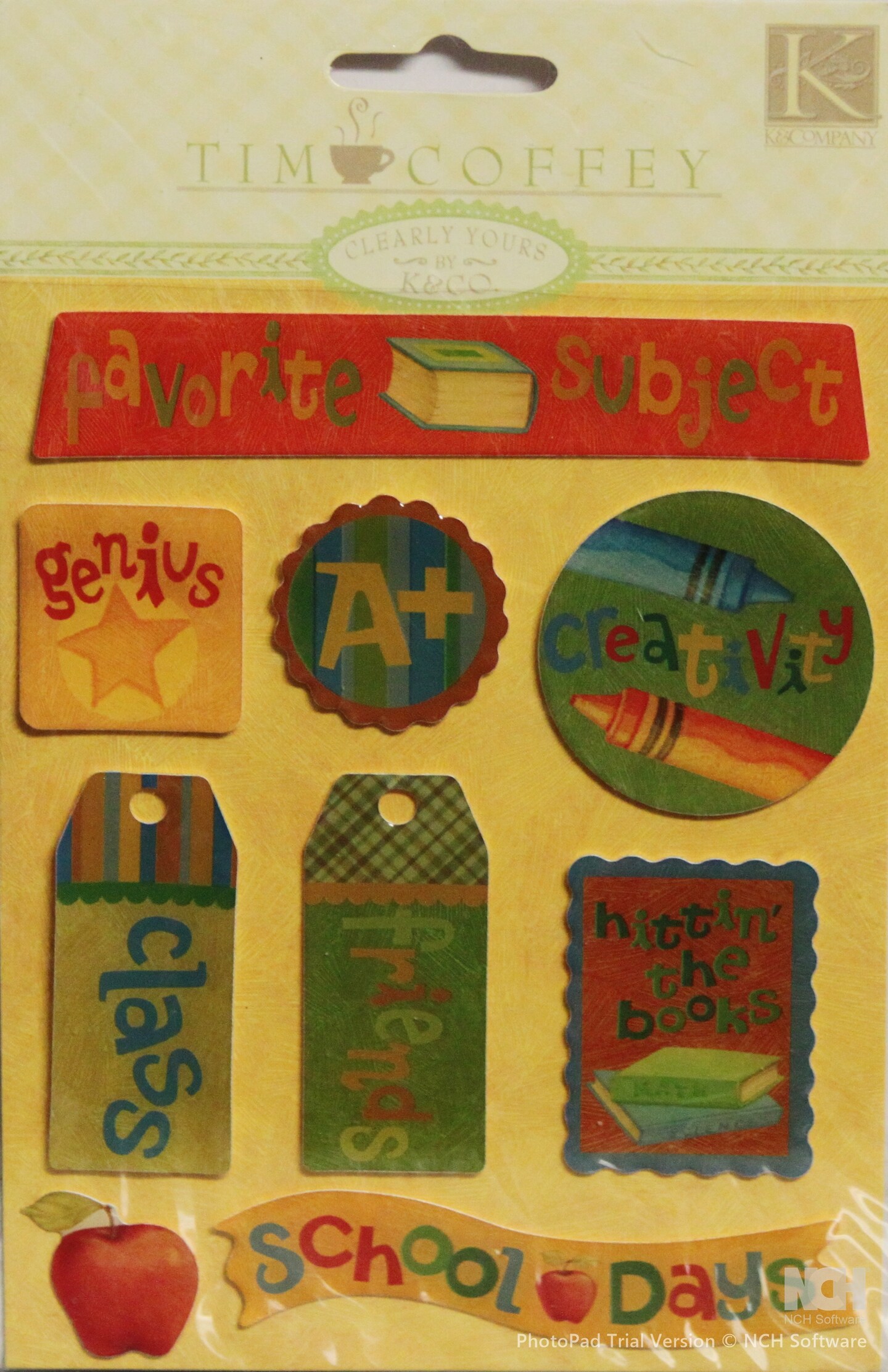 K & Company TIm Coffey School Days Clearly Yours Epoxy Stickers | Michaels