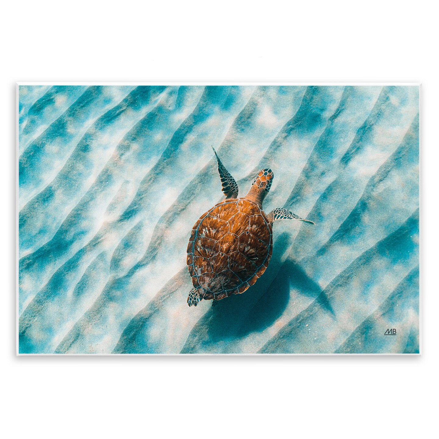 Stupell Industries Sandbar Sea Turtle Wall Plaque Art Design by Max ...