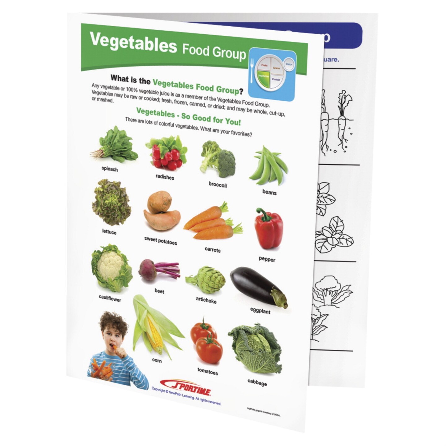 Sportime Vegetables Food Group Visual Learning Guide, 4 Pages, Grades 1 ...