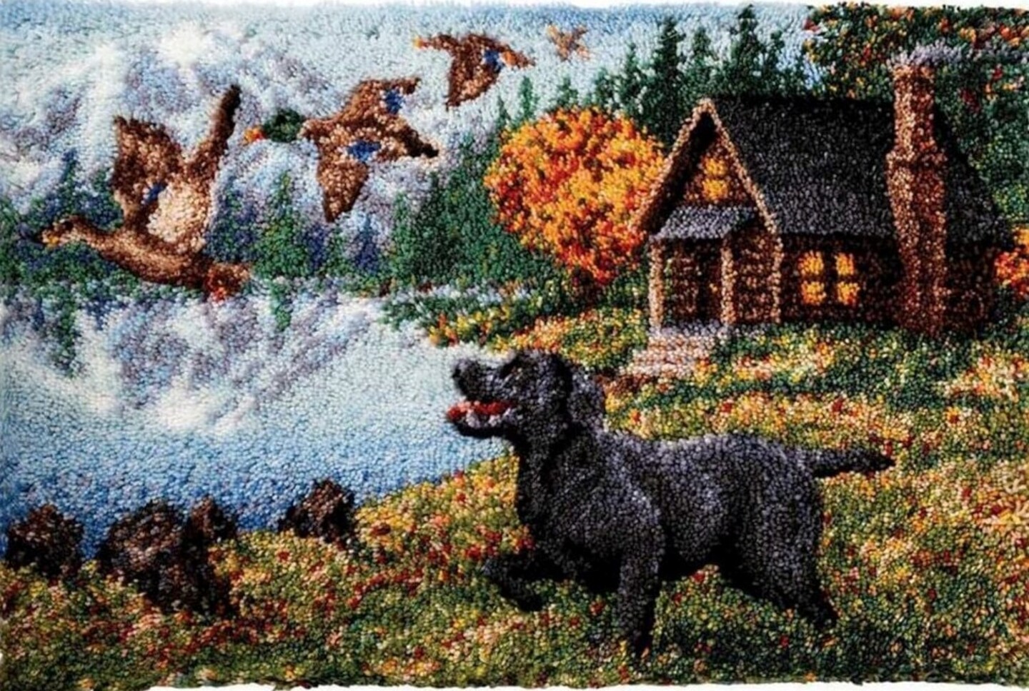 Dog Chasing Ducks | Rug Making Latch Hooking Kit | MakerPlace by Michaels