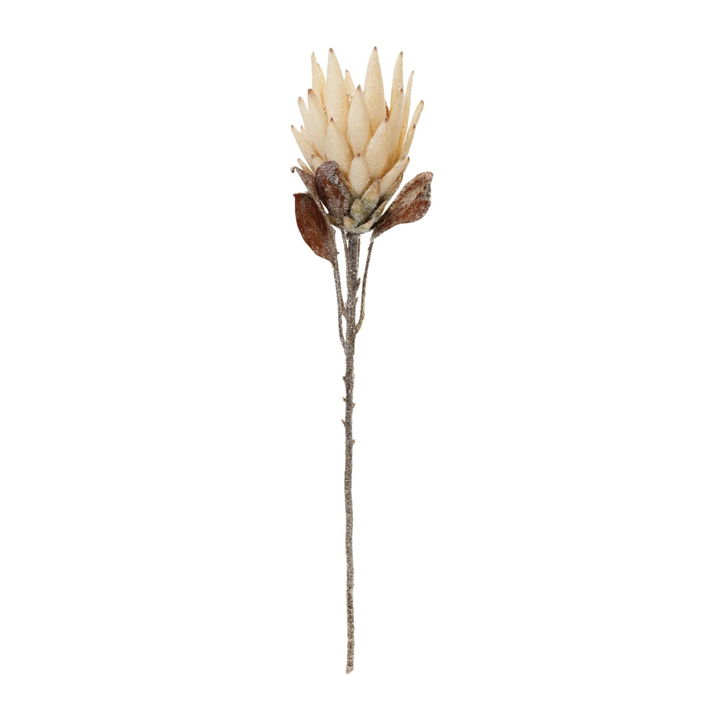 Melrose Protea Artificial Floral Stem Sprays - 29.25" - Cream - Set of ...