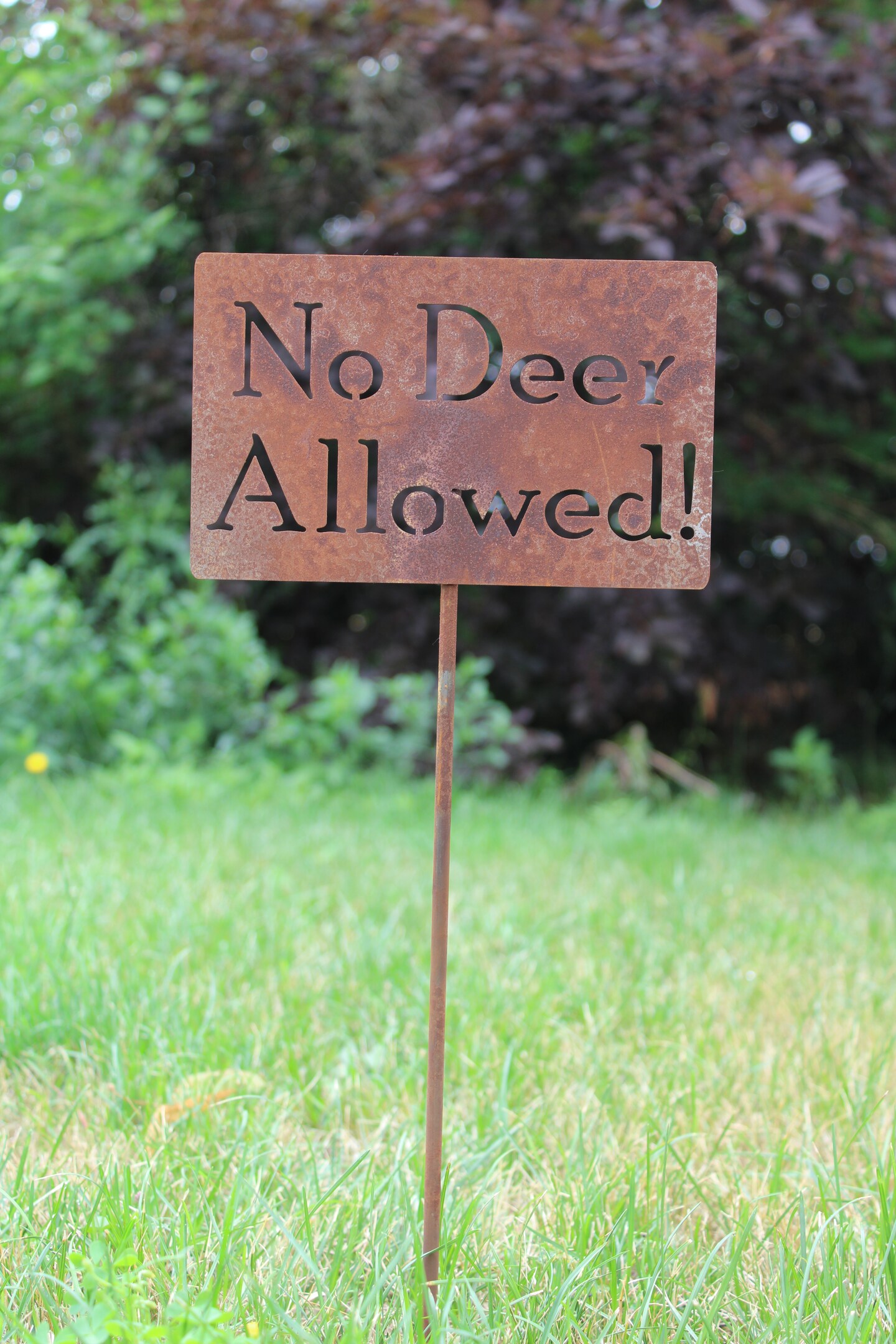 No Deer Allowed! Metal Yard Stake Sign 20 to 48 Inches Tall ...