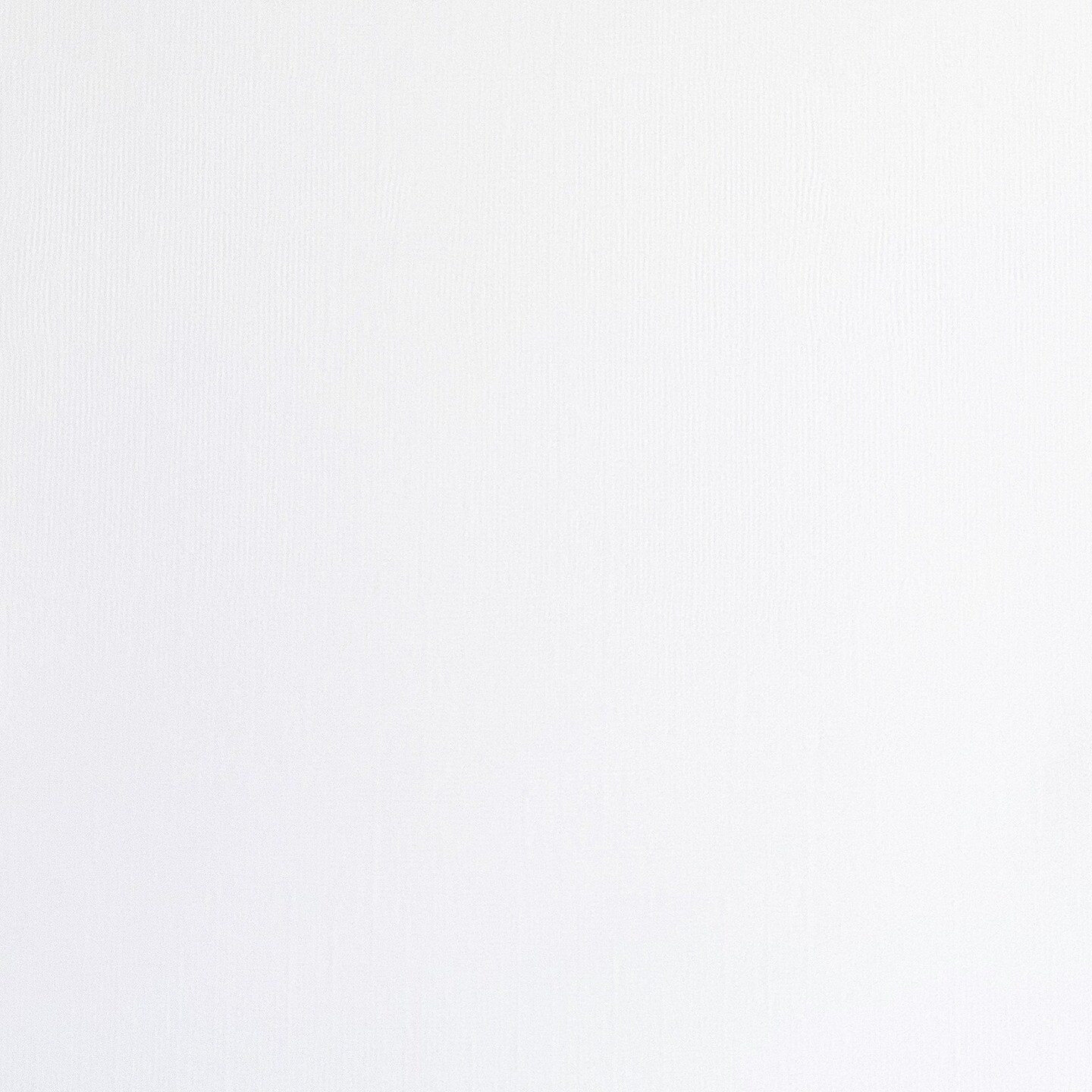 SNOWY WHITE - Textured 12x12 Cardstock - Encore Paper | Michaels