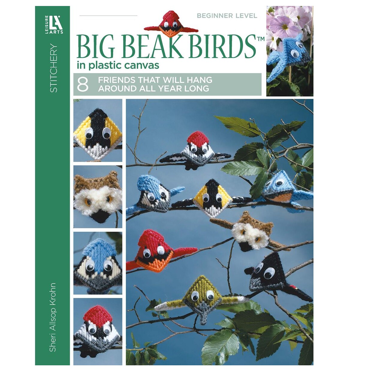 Leisure Arts Big Beak Birds In Plastic Canvas Book and Patterns ...