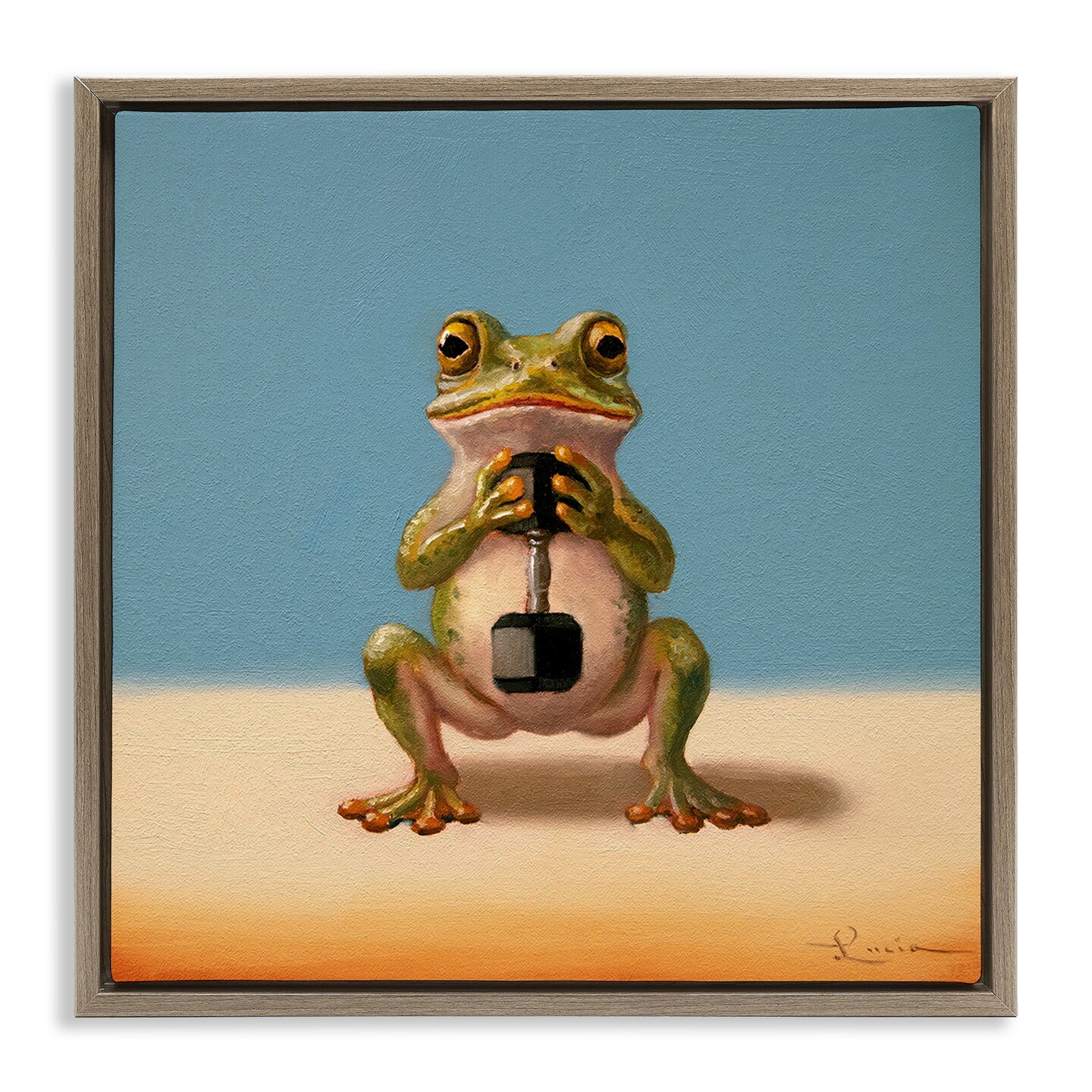Stupell Industries Frog Lifting Weights Floating Frame Design by Lucia ...