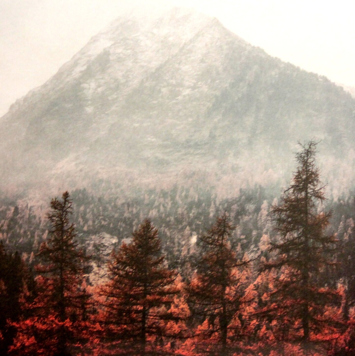 Craft Smith Autumn Dream/Misty Mountain 12 x 12 Lt. Cardstock Paper ...