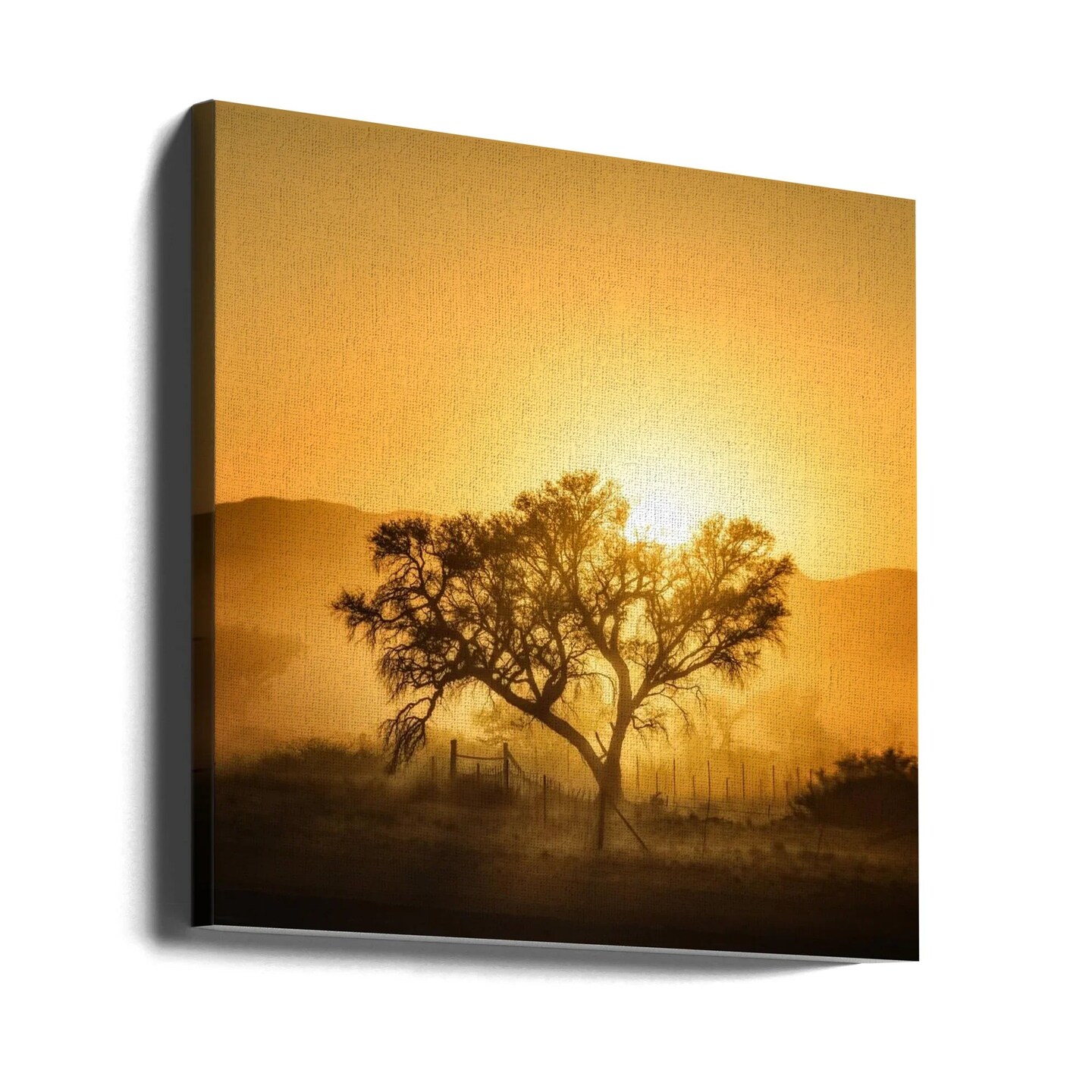 Golden Sunrise Square 24x24 Canvas - Corporate Office Art | Michaels