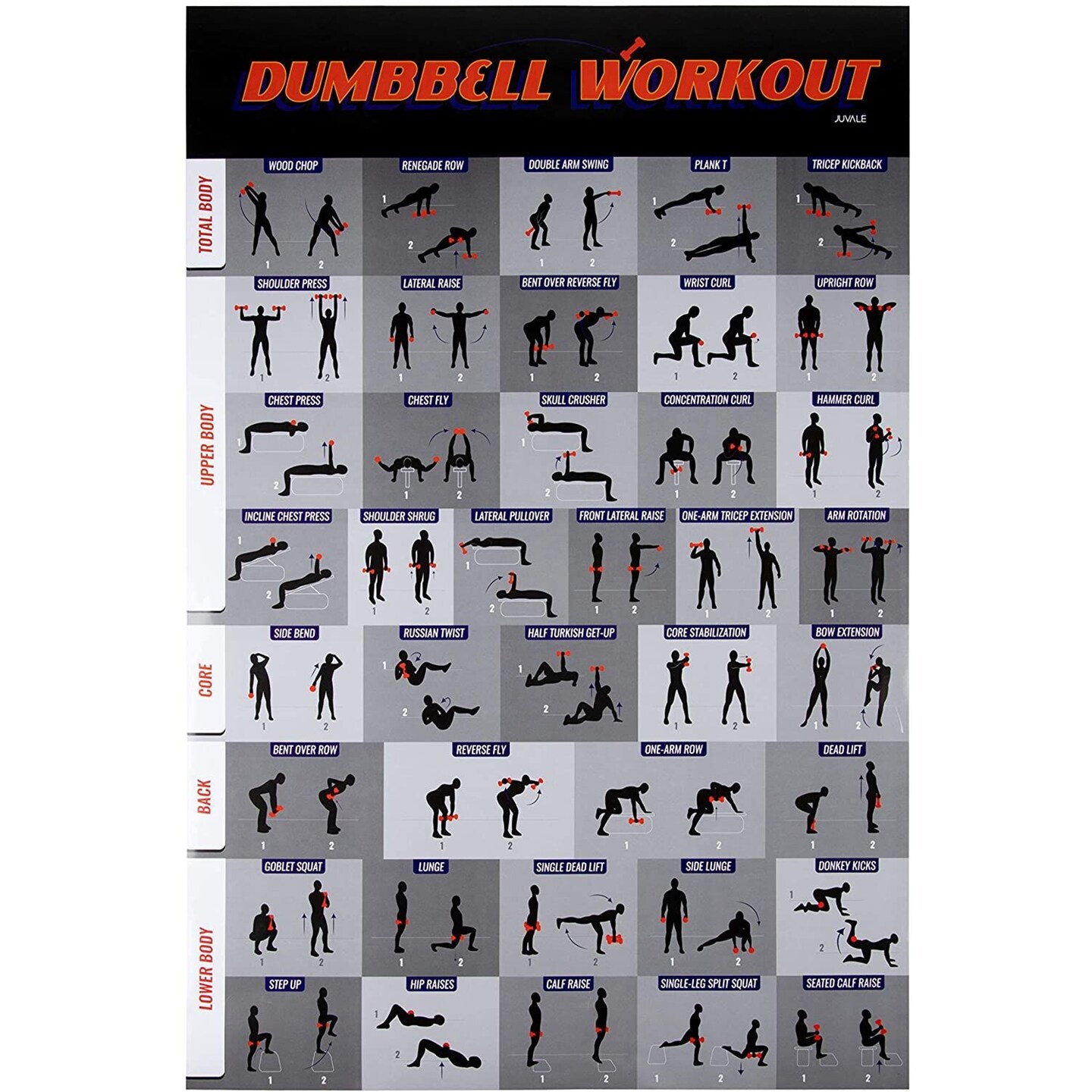 Workout Poster - Dumbbell Exercise Poster Laminated, Free Weight ...