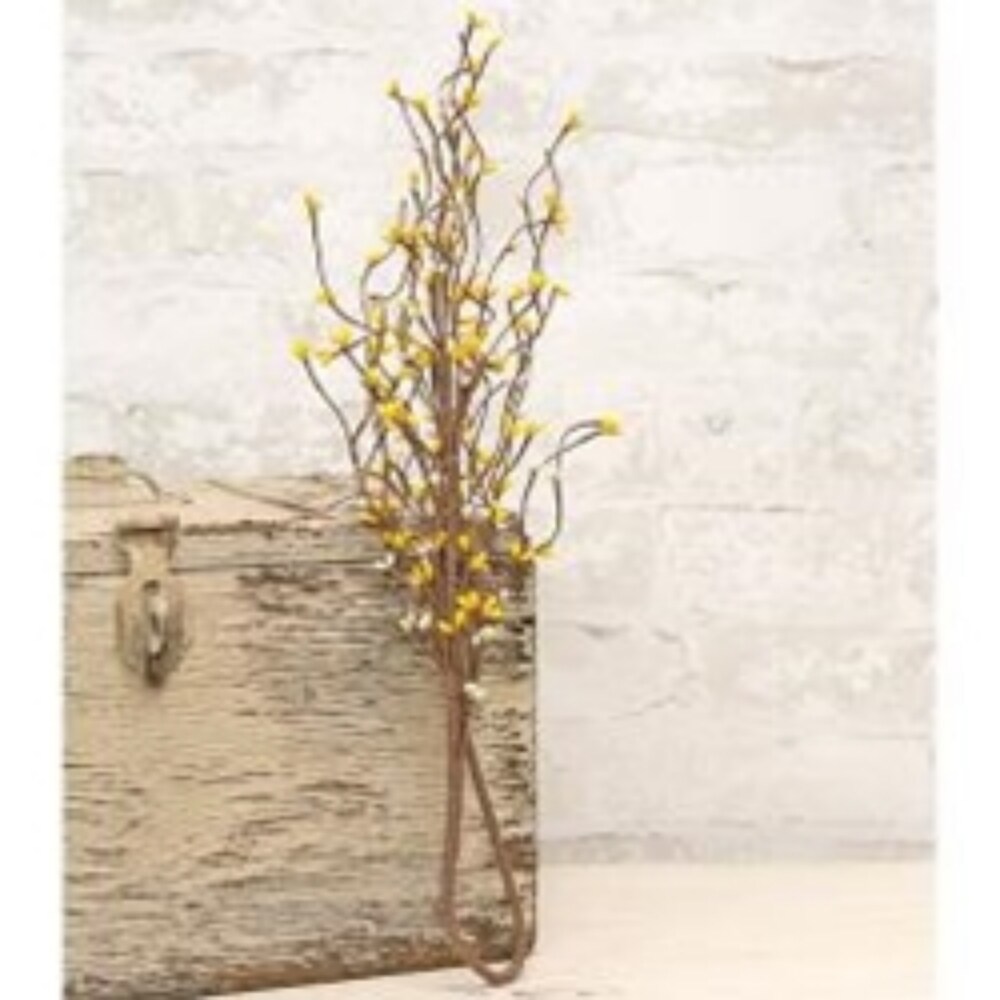 Pip Berry Spray | Michaels