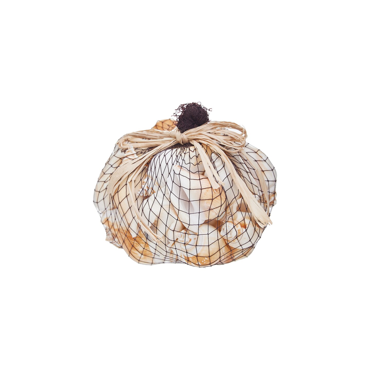 Brown Shell Bundle | Michaels