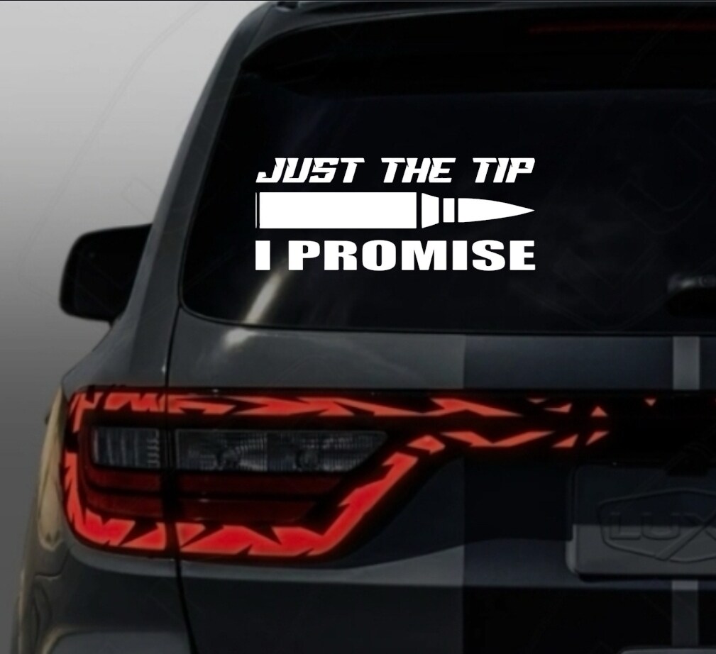 Just the tip, I promise Vinyl Window Decal, Window Sticker, 9 ...