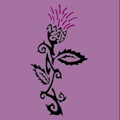 Practically Magic | Storefront | Michaels