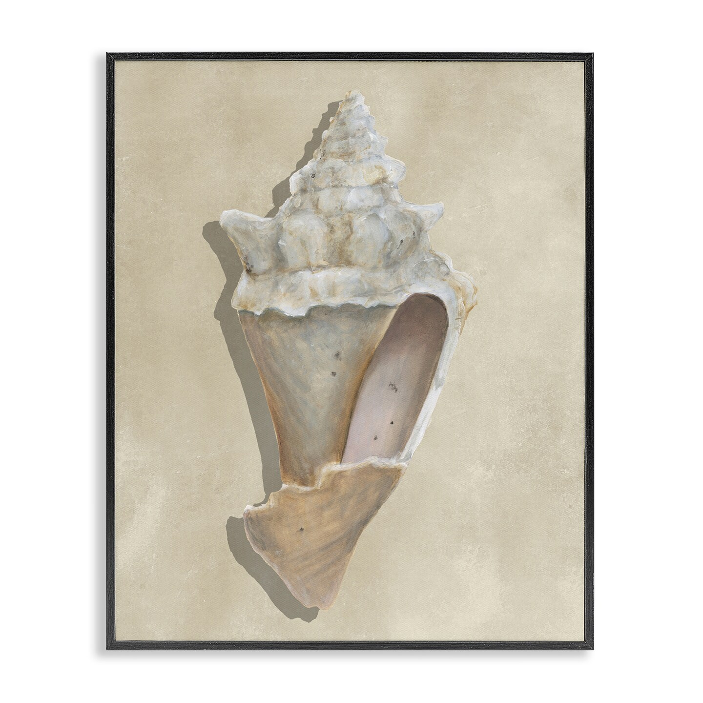 Stupell Industries Tan Toned Conch Shell Framed Giclee By Michael ...
