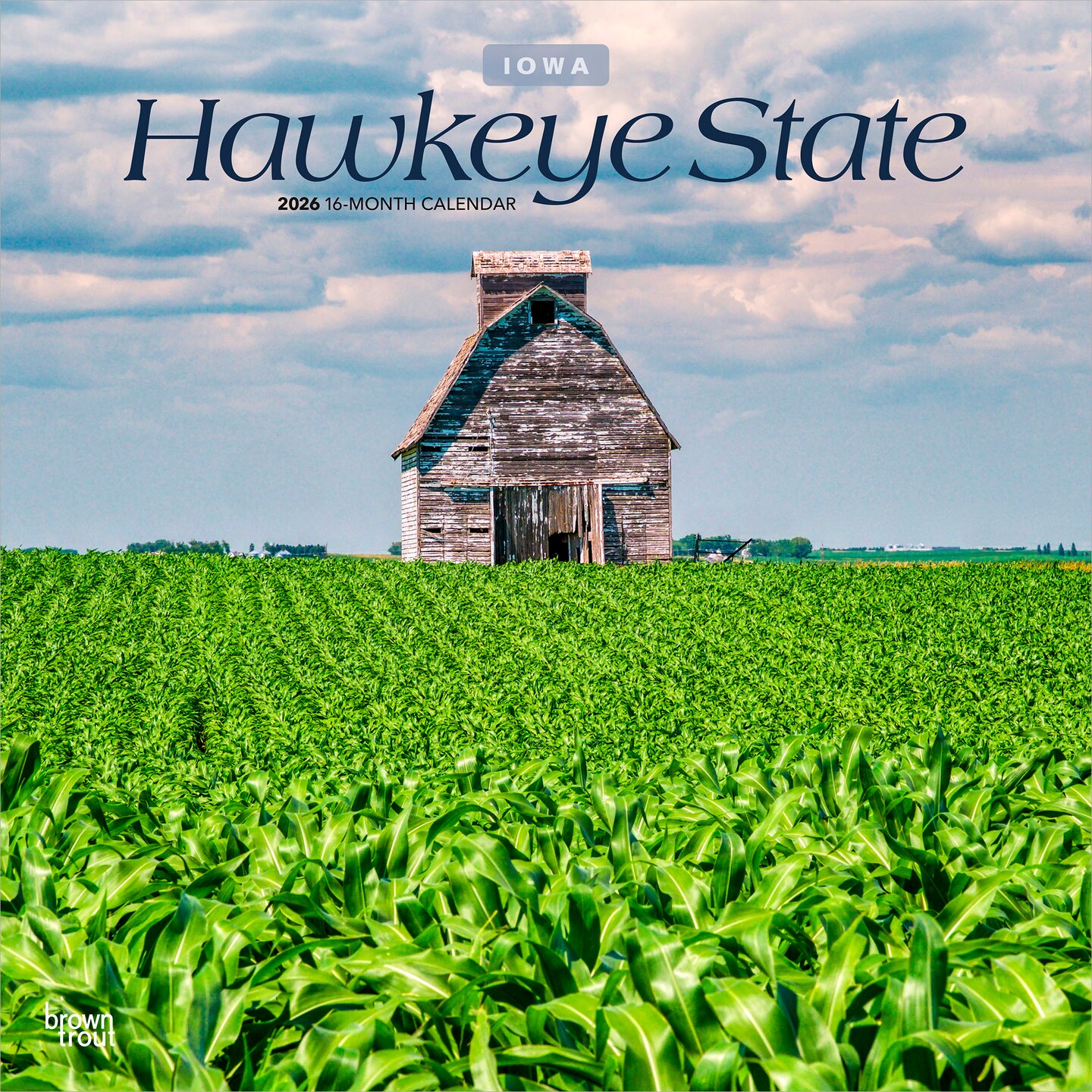 Hawkeye State | Iowa Places | 2026 12 x 24 Inch (Hanging) Monthly ...
