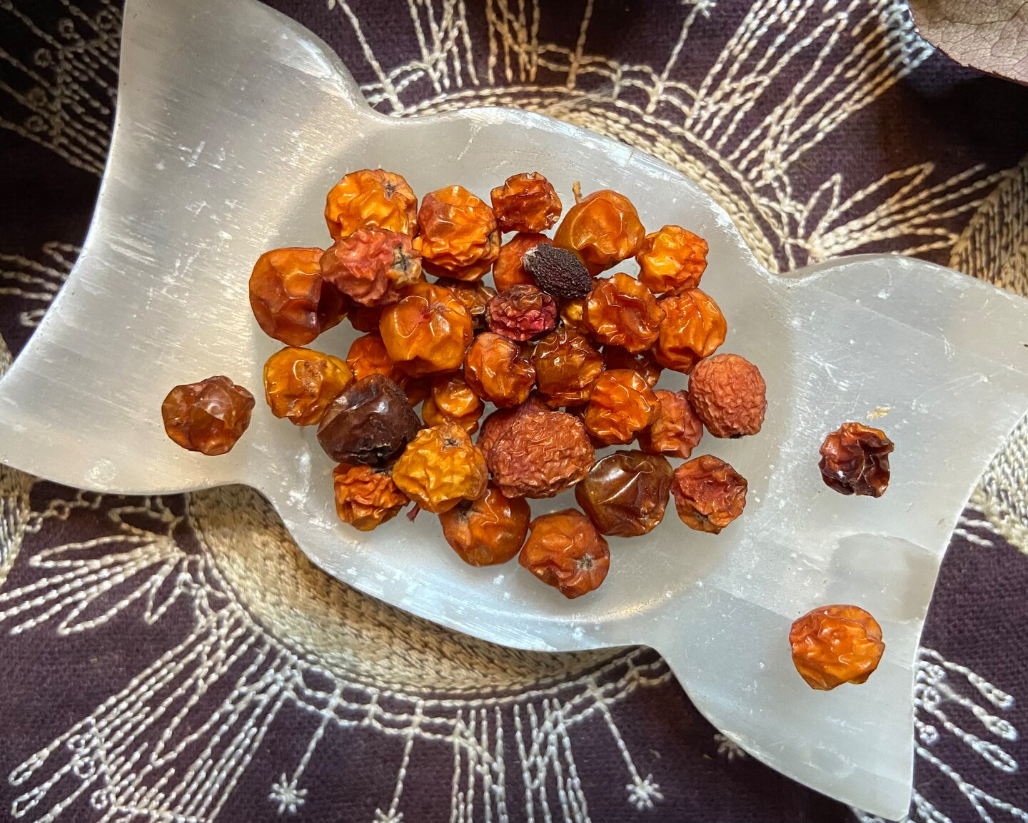 Rowan Berries, Protection, Healing, Power, Success, Protection From ...