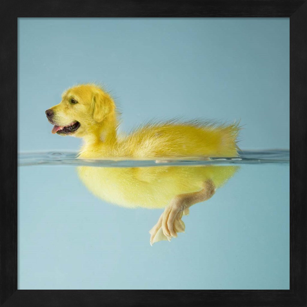 Dog Duck by Pixelmated Animals 13" x 13" Framed Wall Art | Michaels