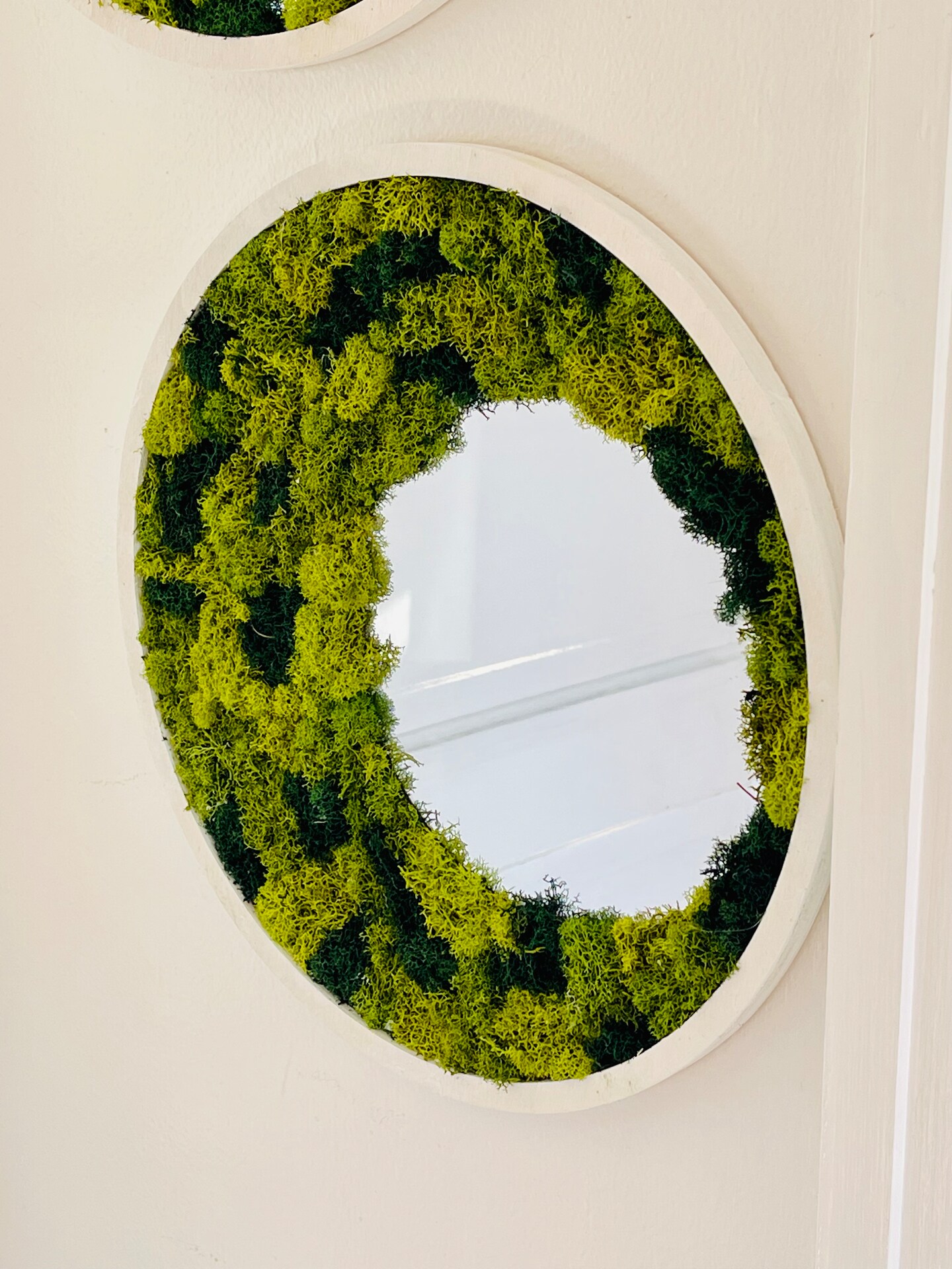 Round Mirror Moss Wall Art, Preserved Moss Wall Art, Green Home Accents ...