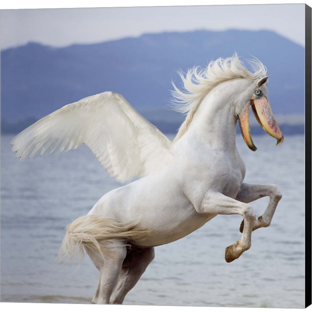 Shoebill Horse by Pixelmated Animals 12" x 12" Canvas Wall Art | Michaels