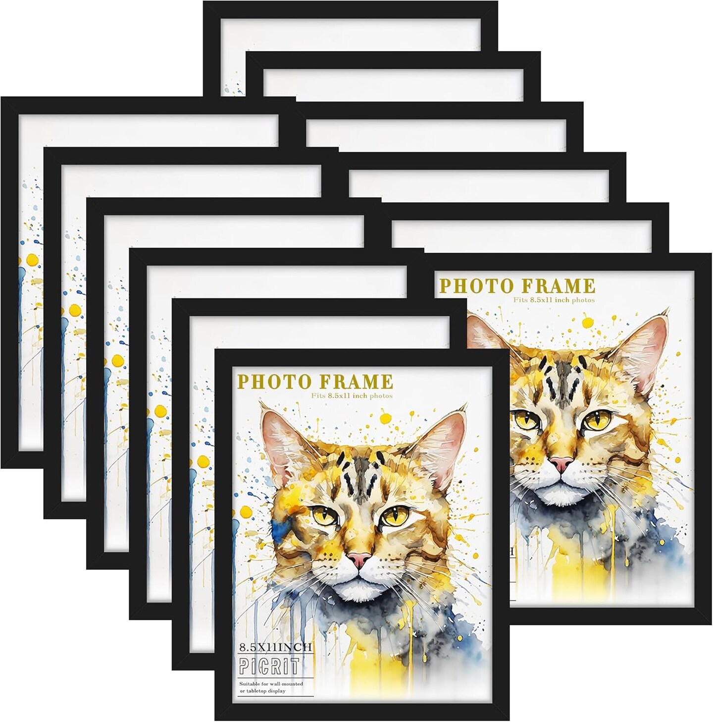 8.5x11 Picture Frame Set of 12, Black Wall Gallery Photo Frames Without ...