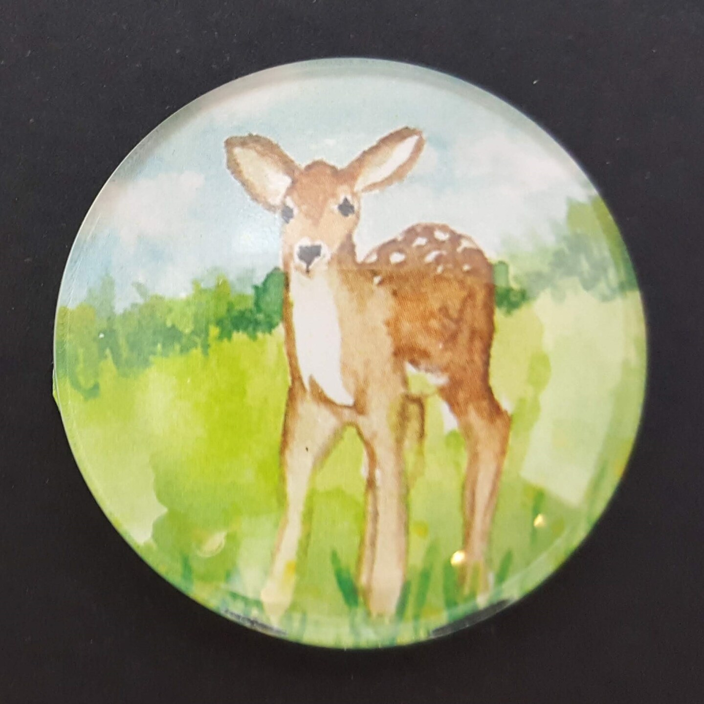 Watercolor fawn magnets, deer magnets, 7 poses, original artwork, large ...
