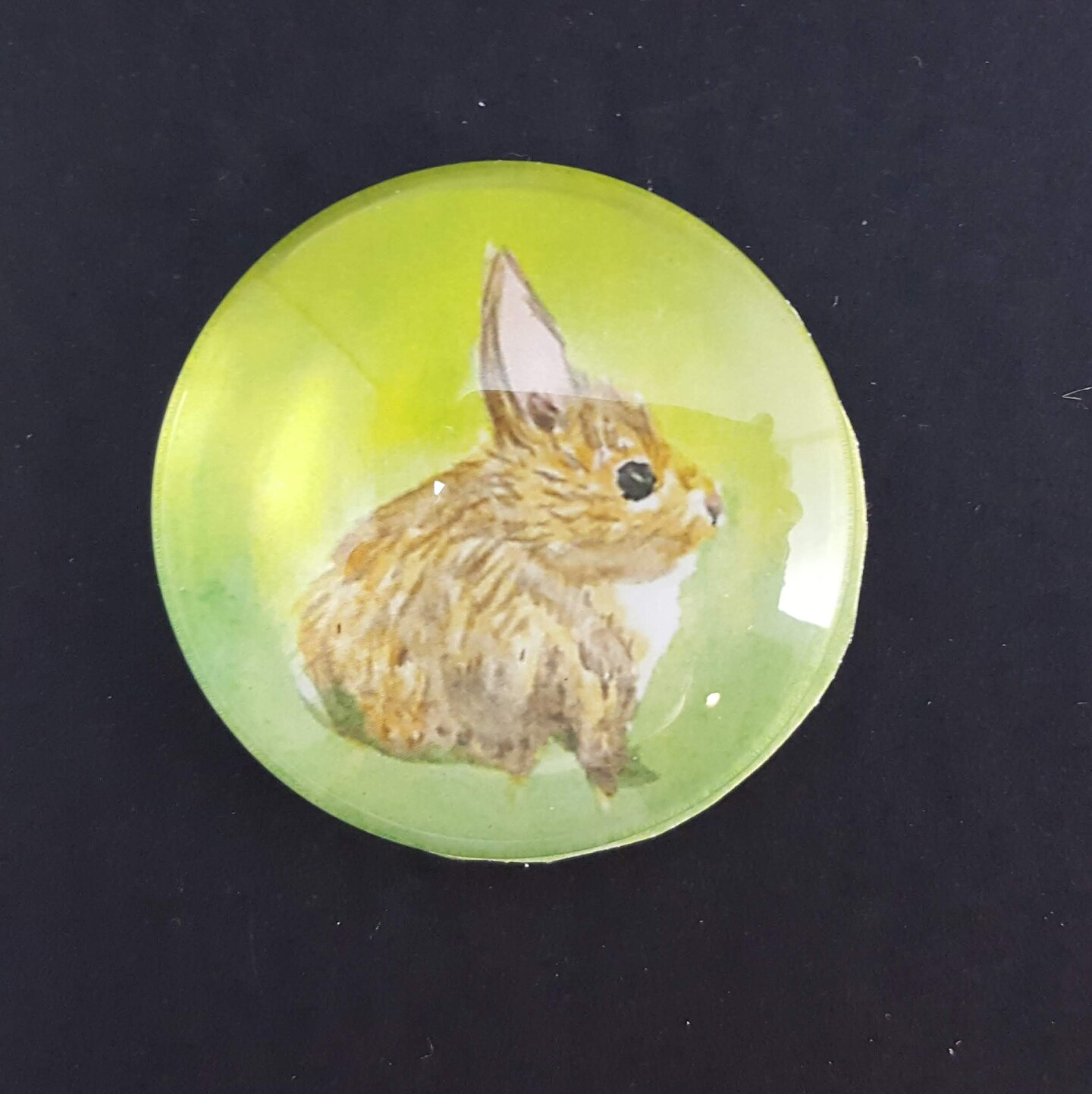 Cute rabbit magnets, 7 poses, wildlife watercolor, original artwork ...