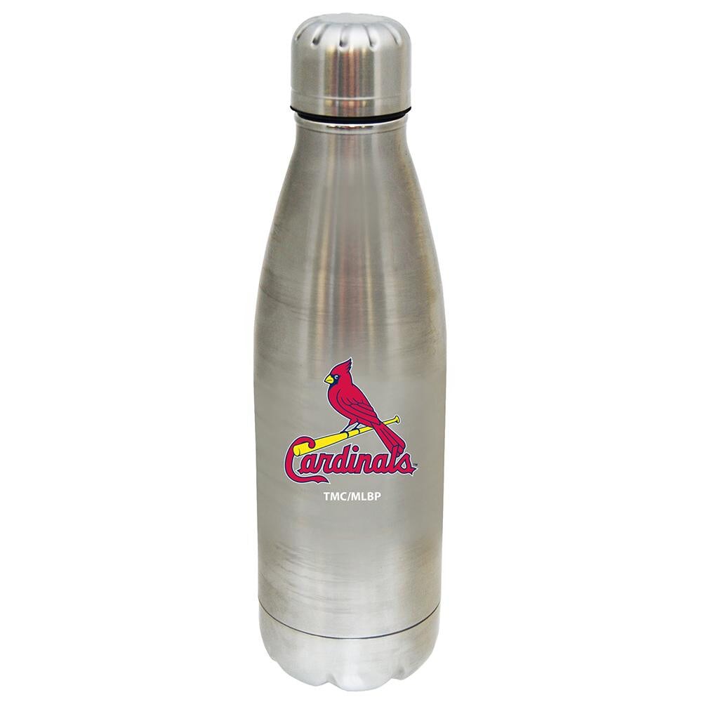 17oz Stainless Steel Water Bottle | St. Louis Cardinals | Michaels